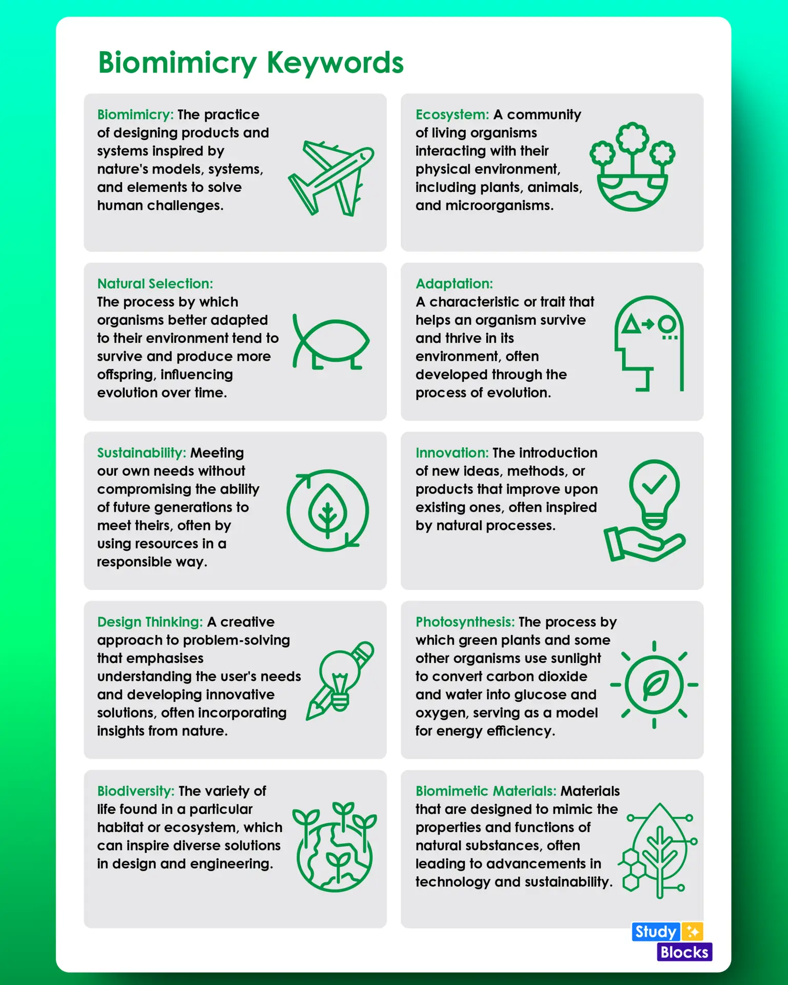 Biomimicry Keywords - studyblocks.ai