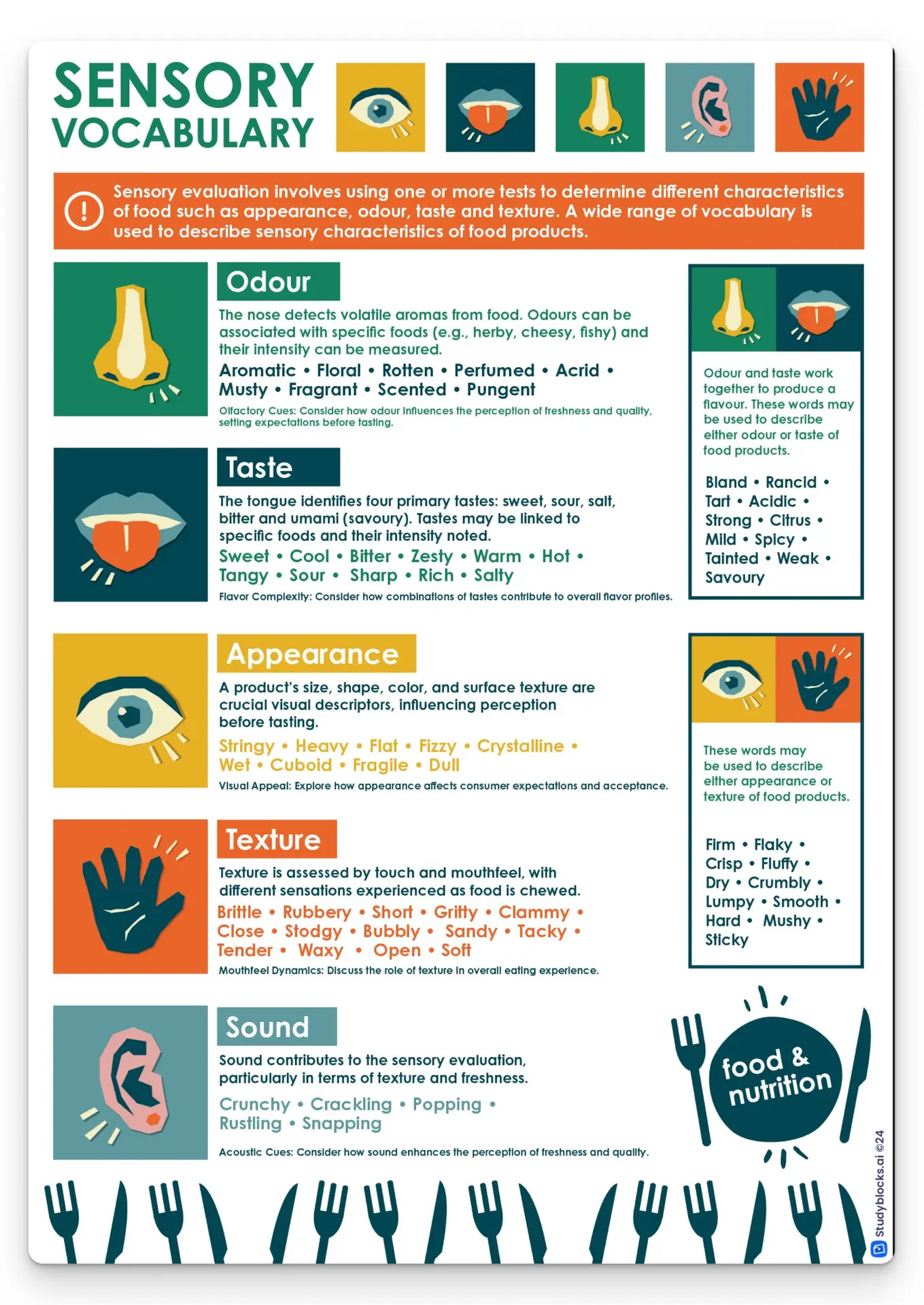 Sensory Vocabulary display - studyblocks.ai